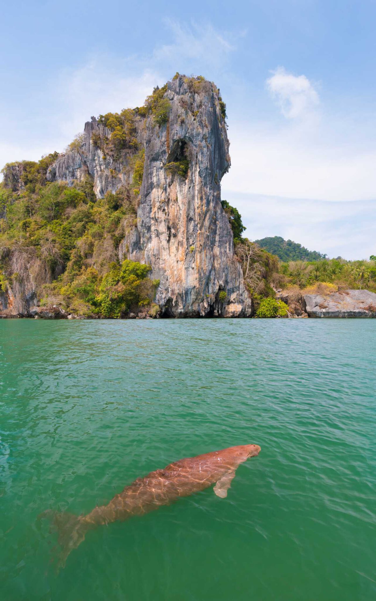 Insel Koh Libong – die Unbekannte in Südthailand – BAMBOO TRAVEL BLOG